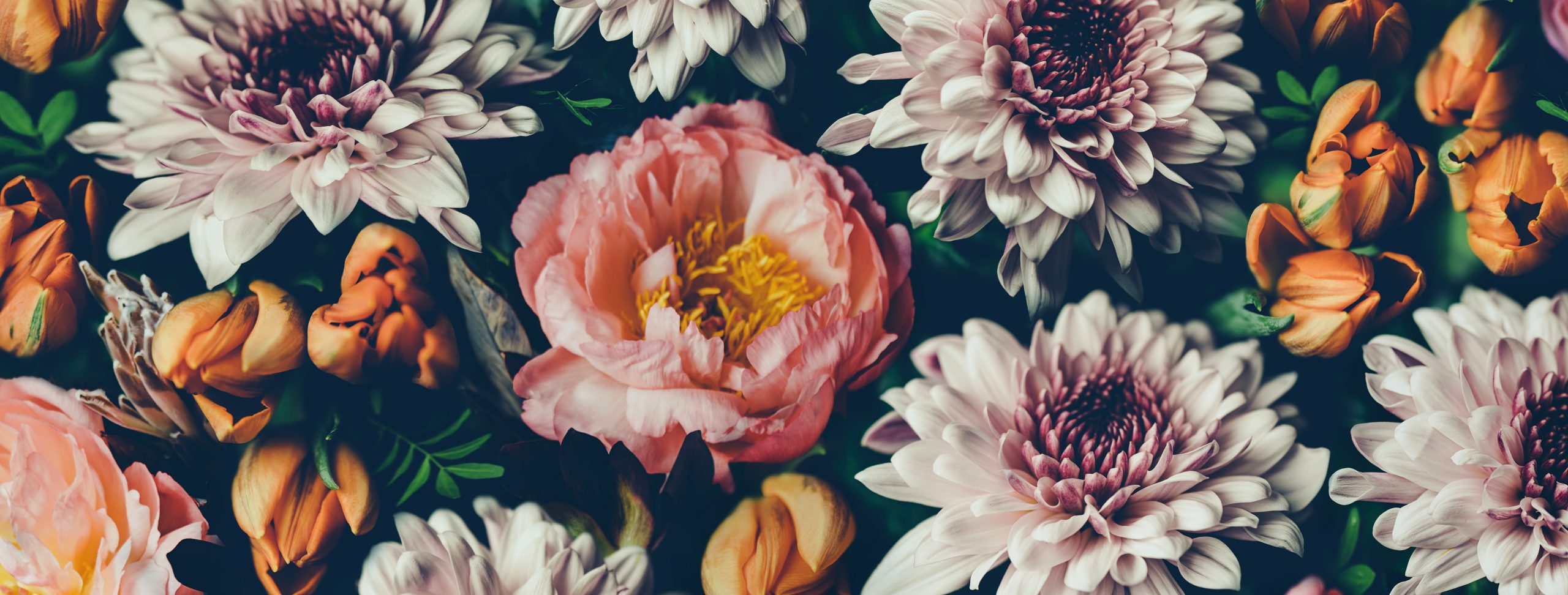 Real Floral Background For Twitter